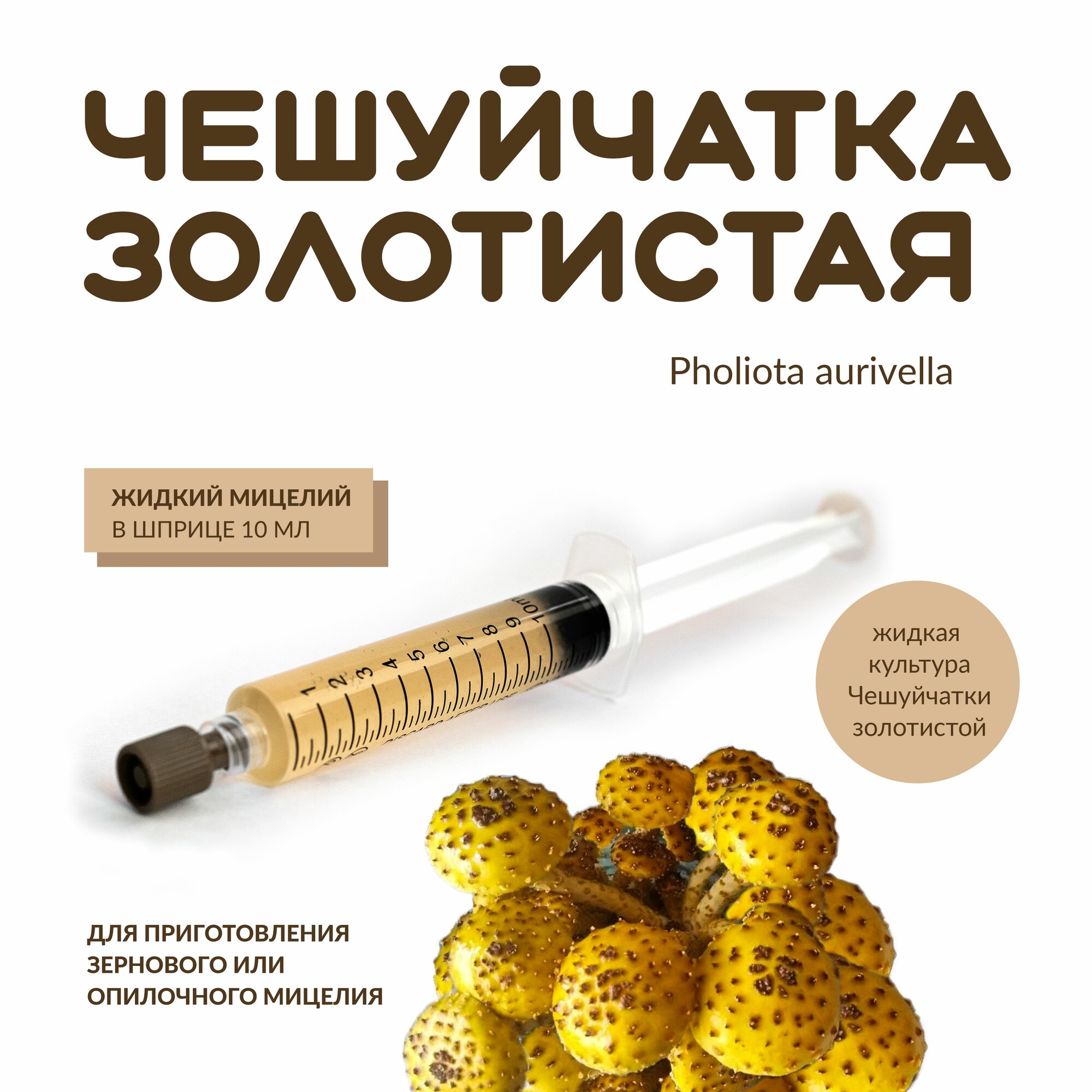 Жидкий мицелий Чешуйчатки золотистой