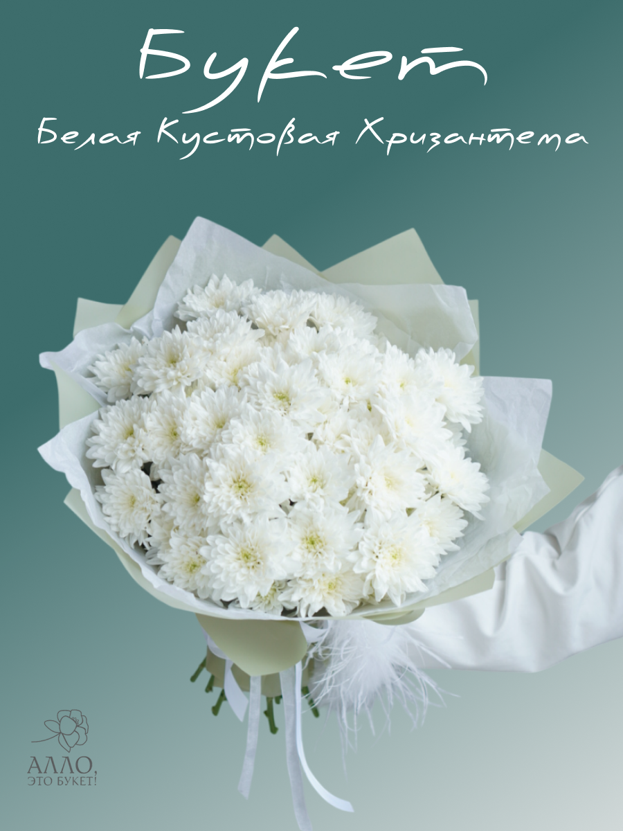 Монобукет "Зеленое облачко" из пышной кустовой хризантемы Алтай, 11шт