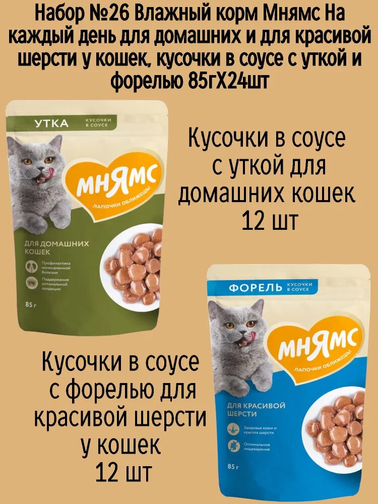 Набор №26 Влажный корм Мнямс для домашних кошек, кусочки в соусе с уткой и форелью, 24 шт х 85 гр