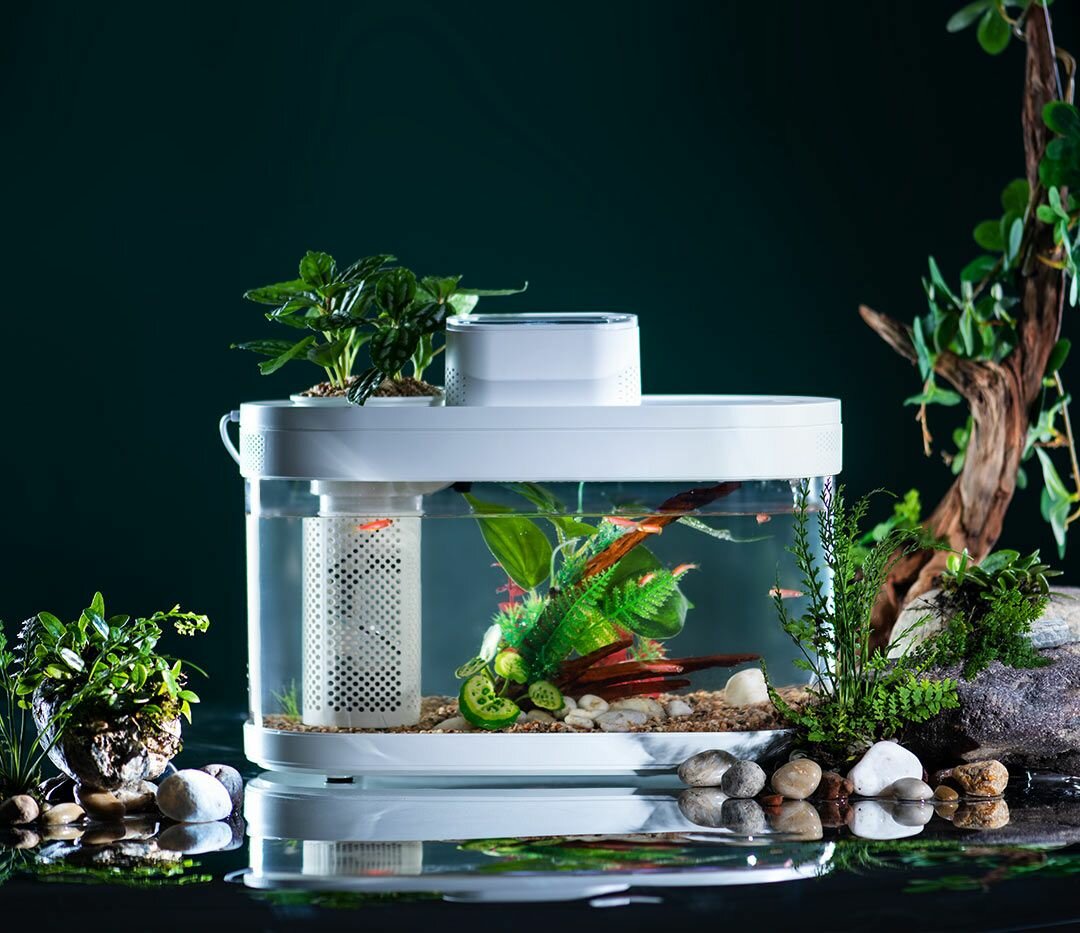 Описательный геометрический умный набор для кормления + Wifi автоматическая кормушка для рыб