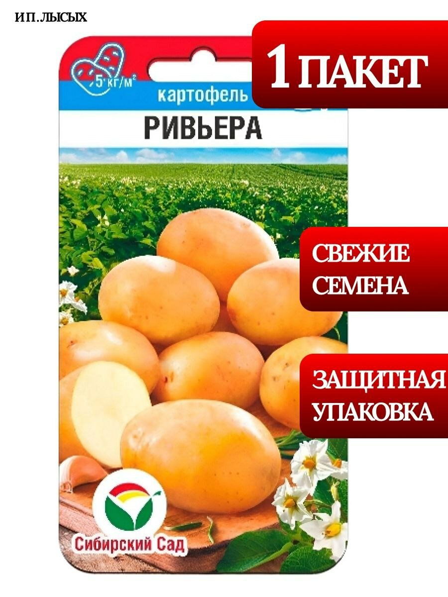 Семена Картофель "Ривьера"