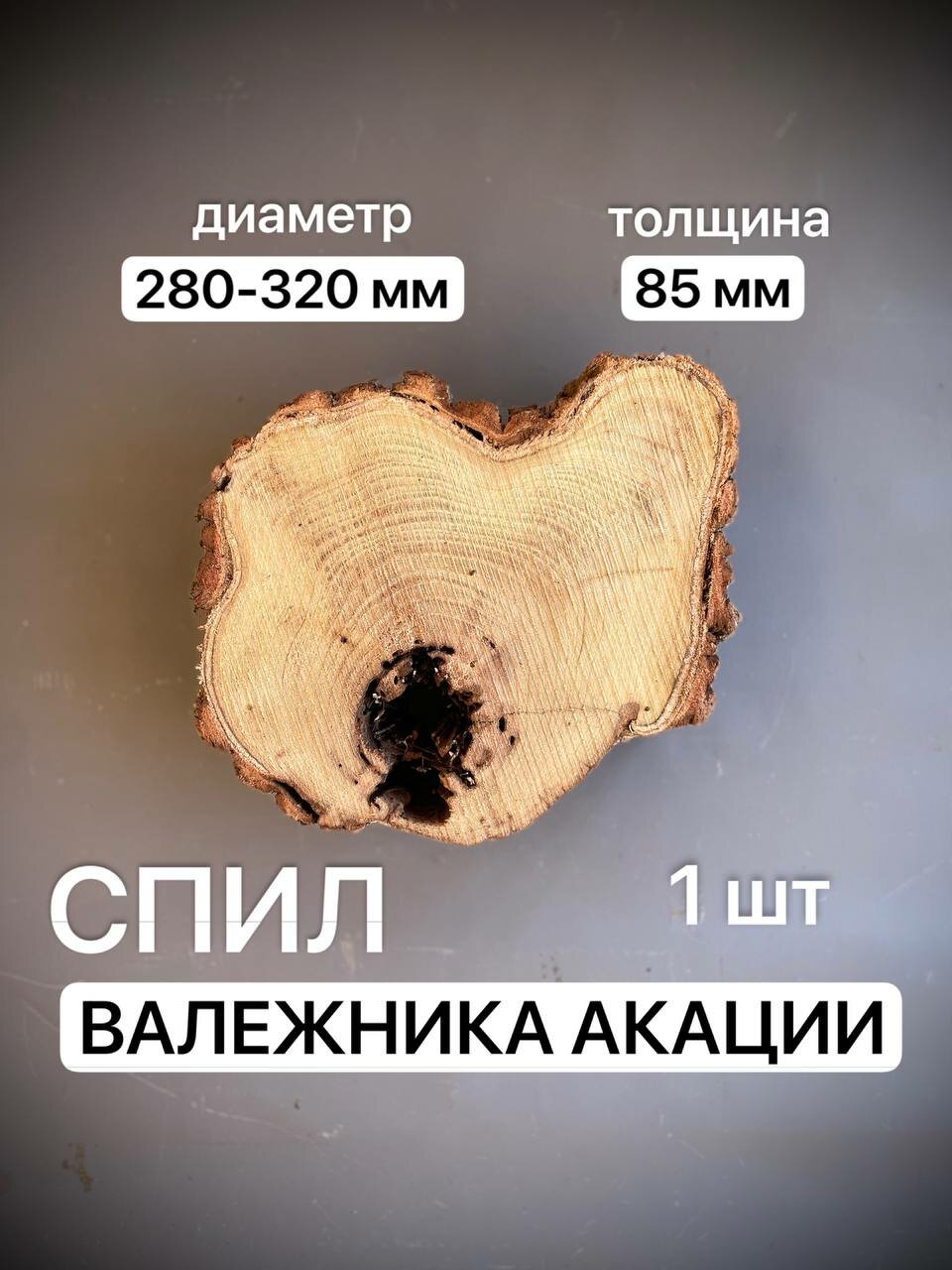 Спил валежника Акации, диаметр 28-32 см, толщина 8.5 см, 1шт