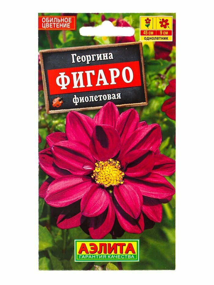 Семена цветов Георгина Фигаро махровая фиолетовая , Ц/П,7 шт. 10945455