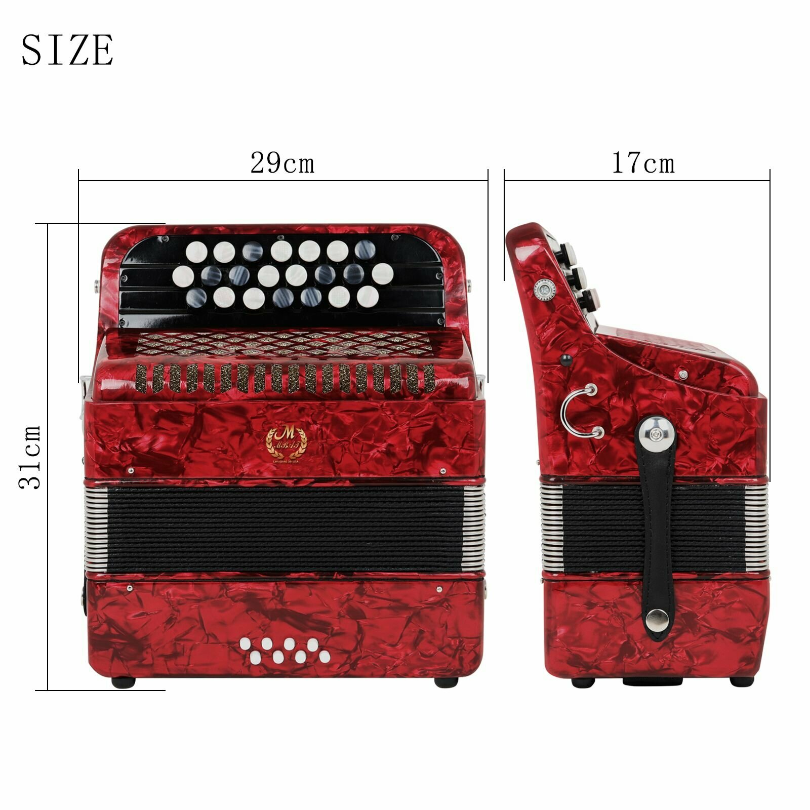 Баян — фото 1