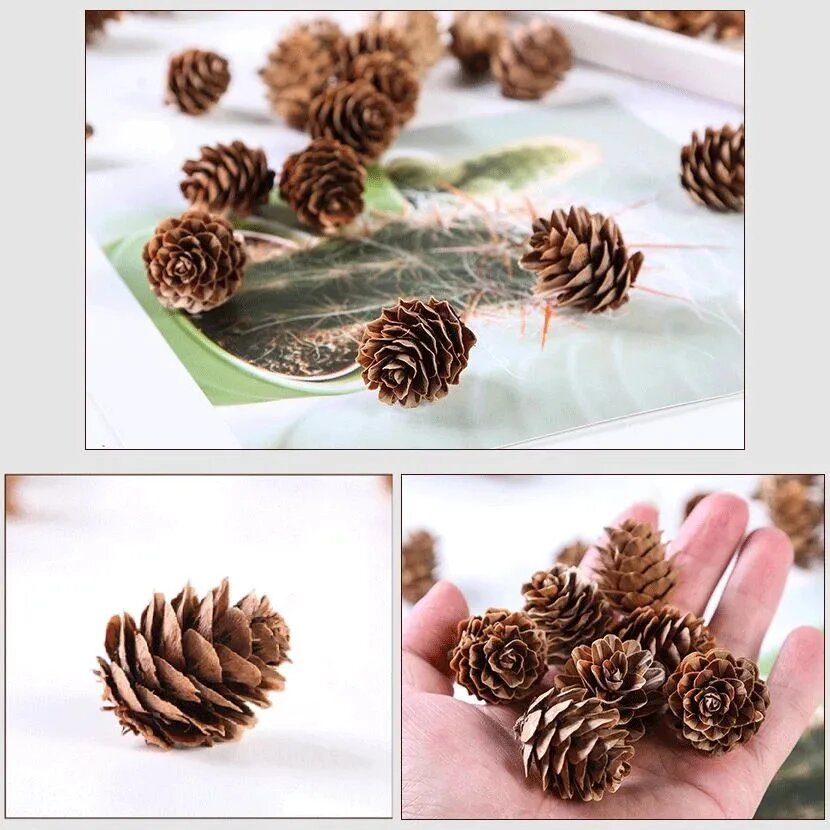 10X мини-сосновые шишки, натуральные сушеные объемные искусственные желуди, сосновая шишка, осенний декор