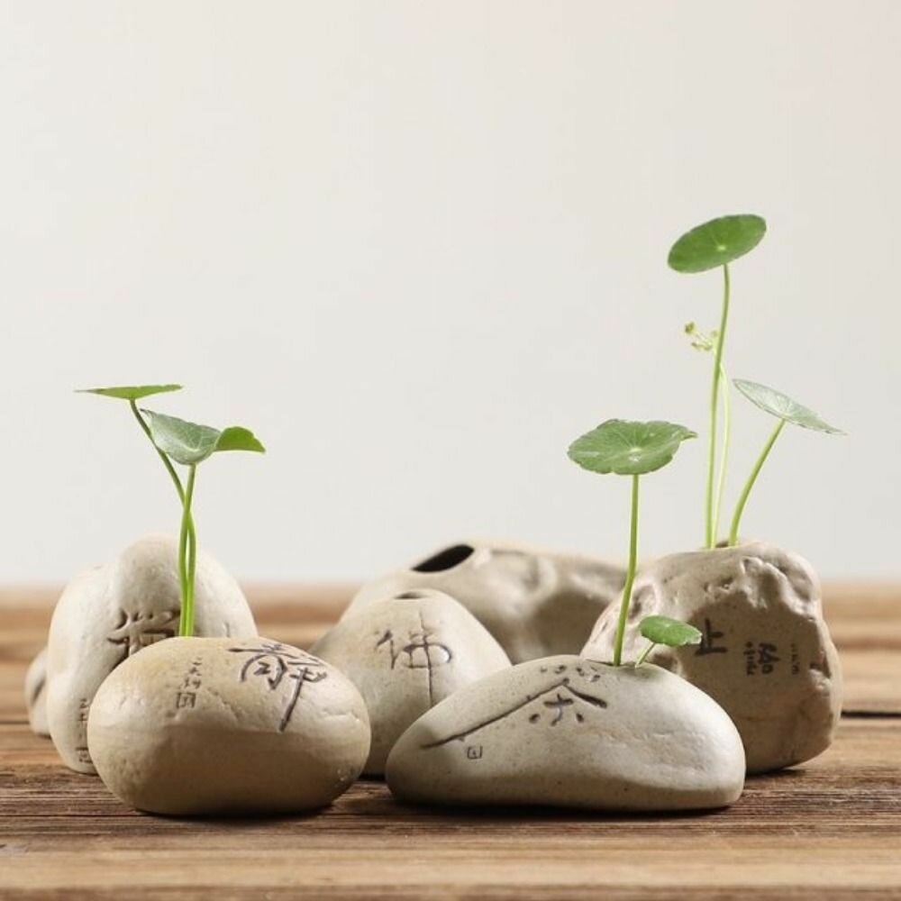 Керамическая дзен гидропонная ваза