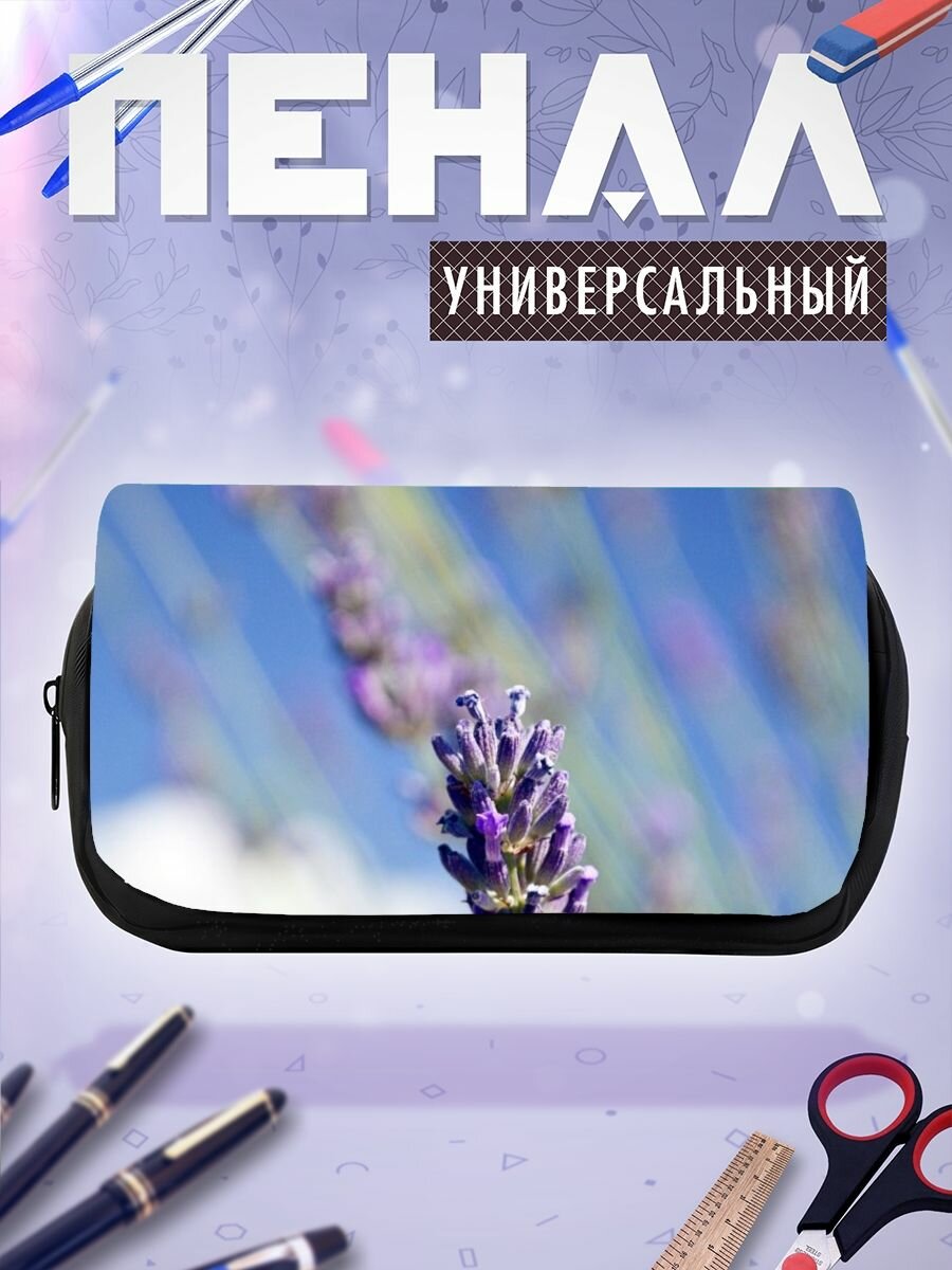 Школьный пенал лаванда английский лаванды