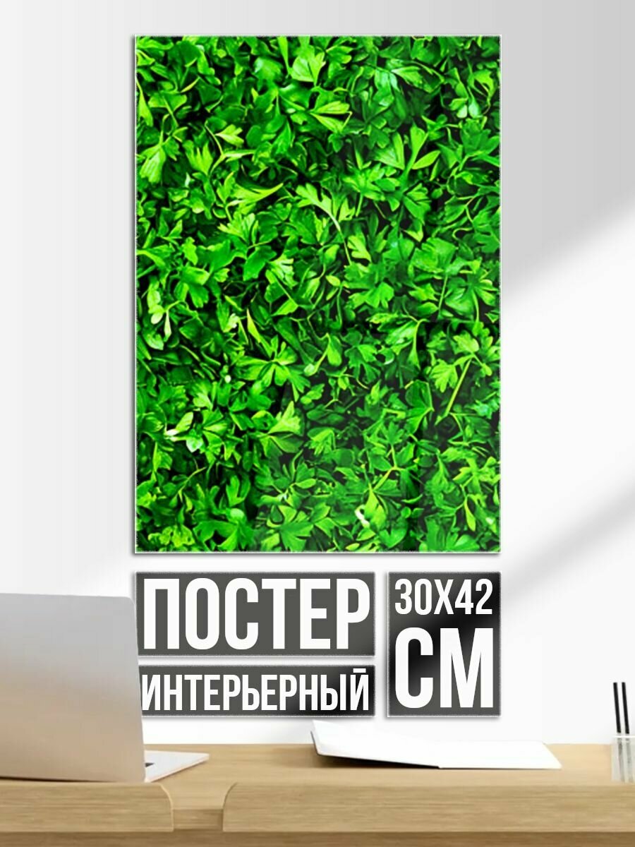 Постер на стену Петрушка