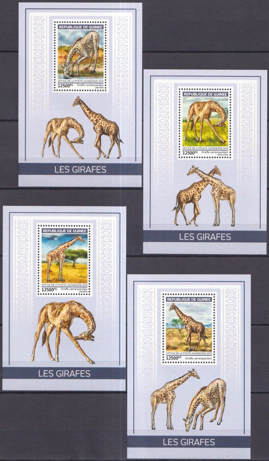 Марки 2019 год Гвинея Жирафы Дикие животные Фауна #13584-13587 ! 4 Блока Mnh
