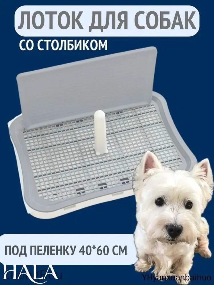Пластиковый лоток для собак под пеленку, со стенкой и столбиком для кобелей, компактный