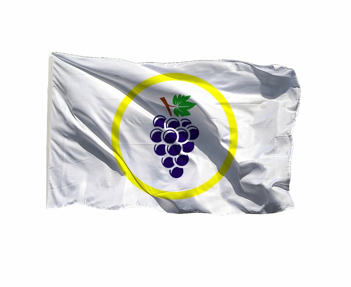 Флаг знамя Республики Дорвинион (War of the Rings) 70х105 см на сетке для уличного флагштока