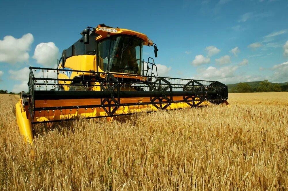 Технологии возделывания сельскохозяйственных культур | для начинающих с нуля