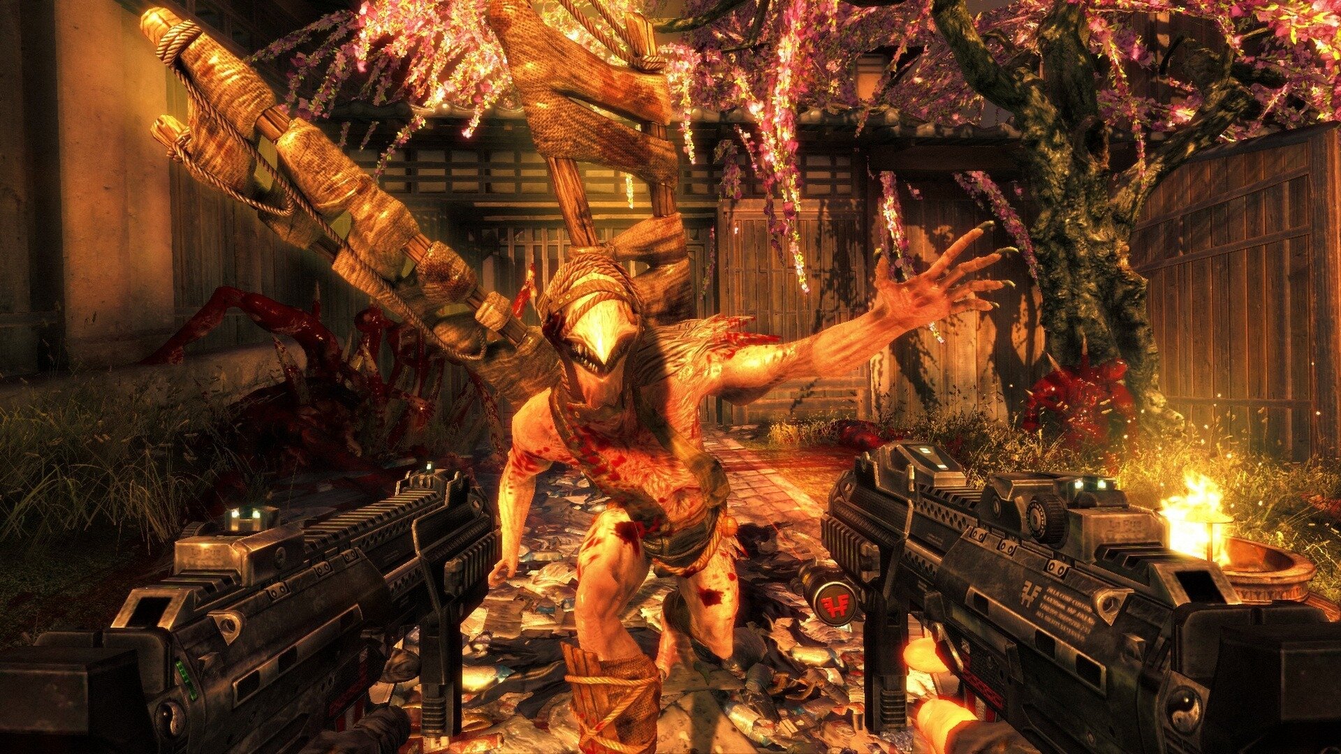 Shadow Warrior, Все страны — фото 1
