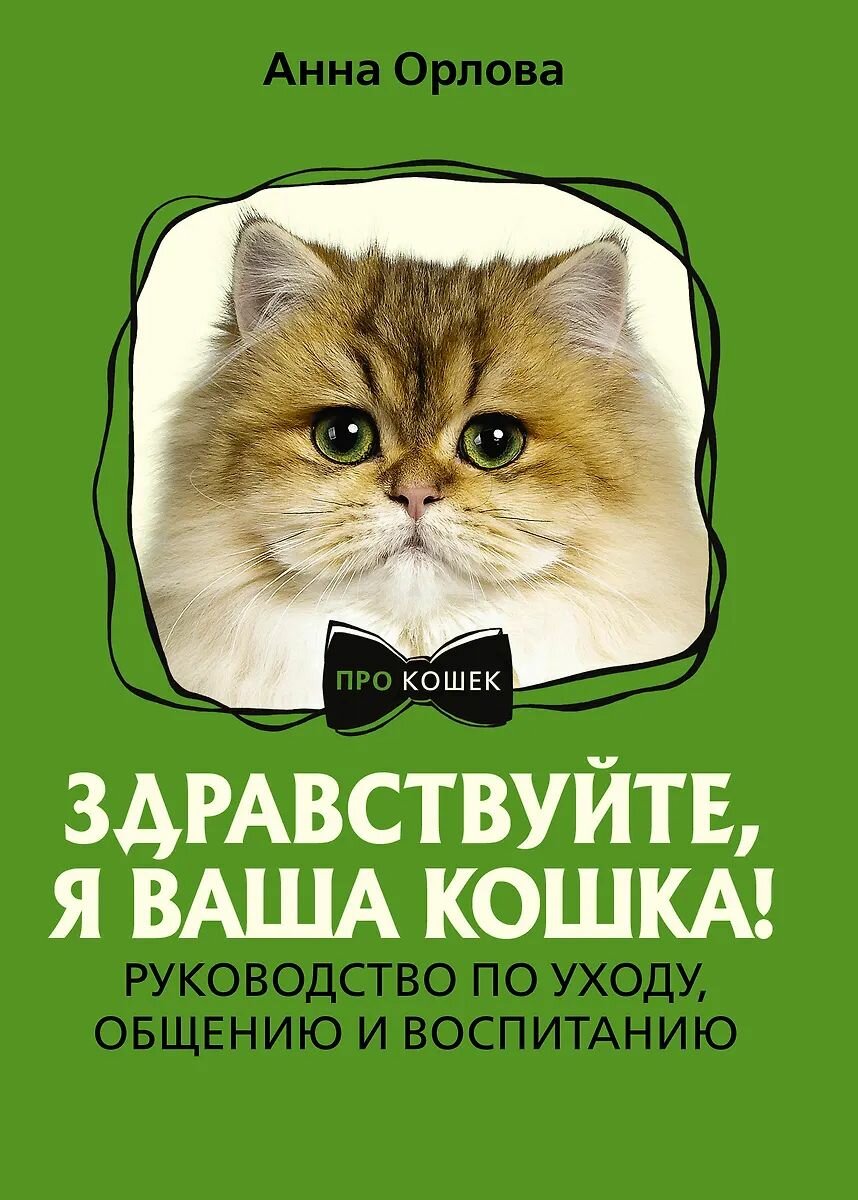 Книга АСТ Про кошек. Здравствуйте, я ваша кошка! Руководство по уходу, общению и воспитанию, Орлова А, 2024 год, 288 стр