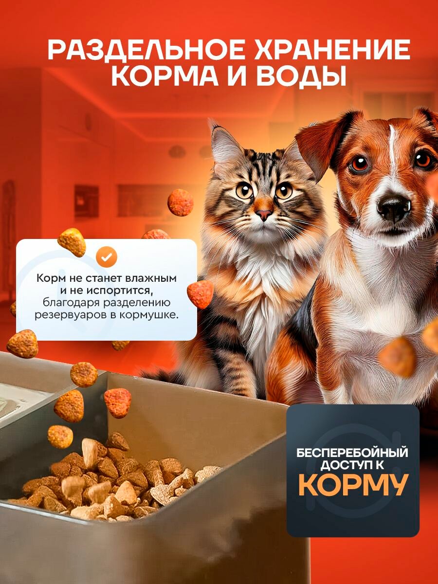 Автокормушка — фото 1