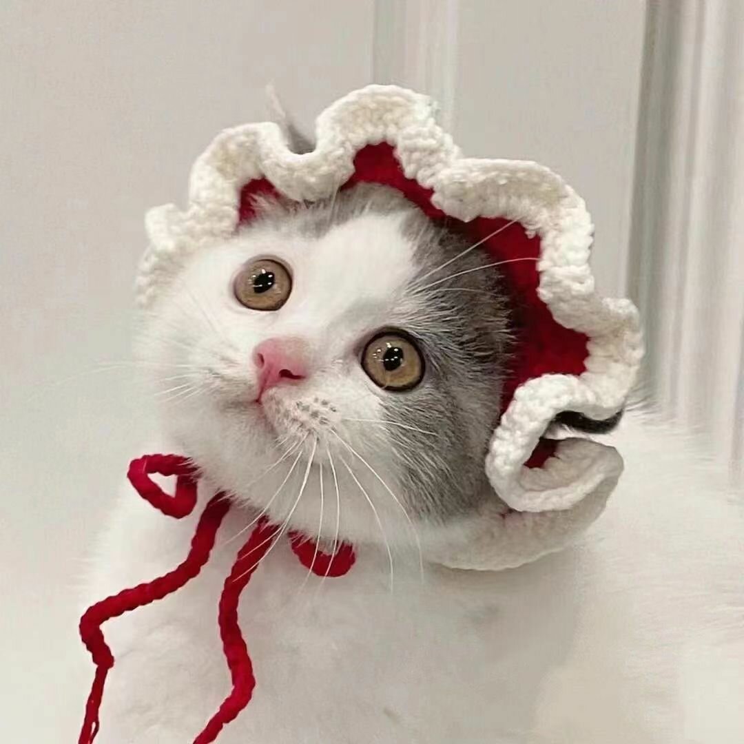 Украшение для животных Головной убор Cat Hat Головные уборы для собак