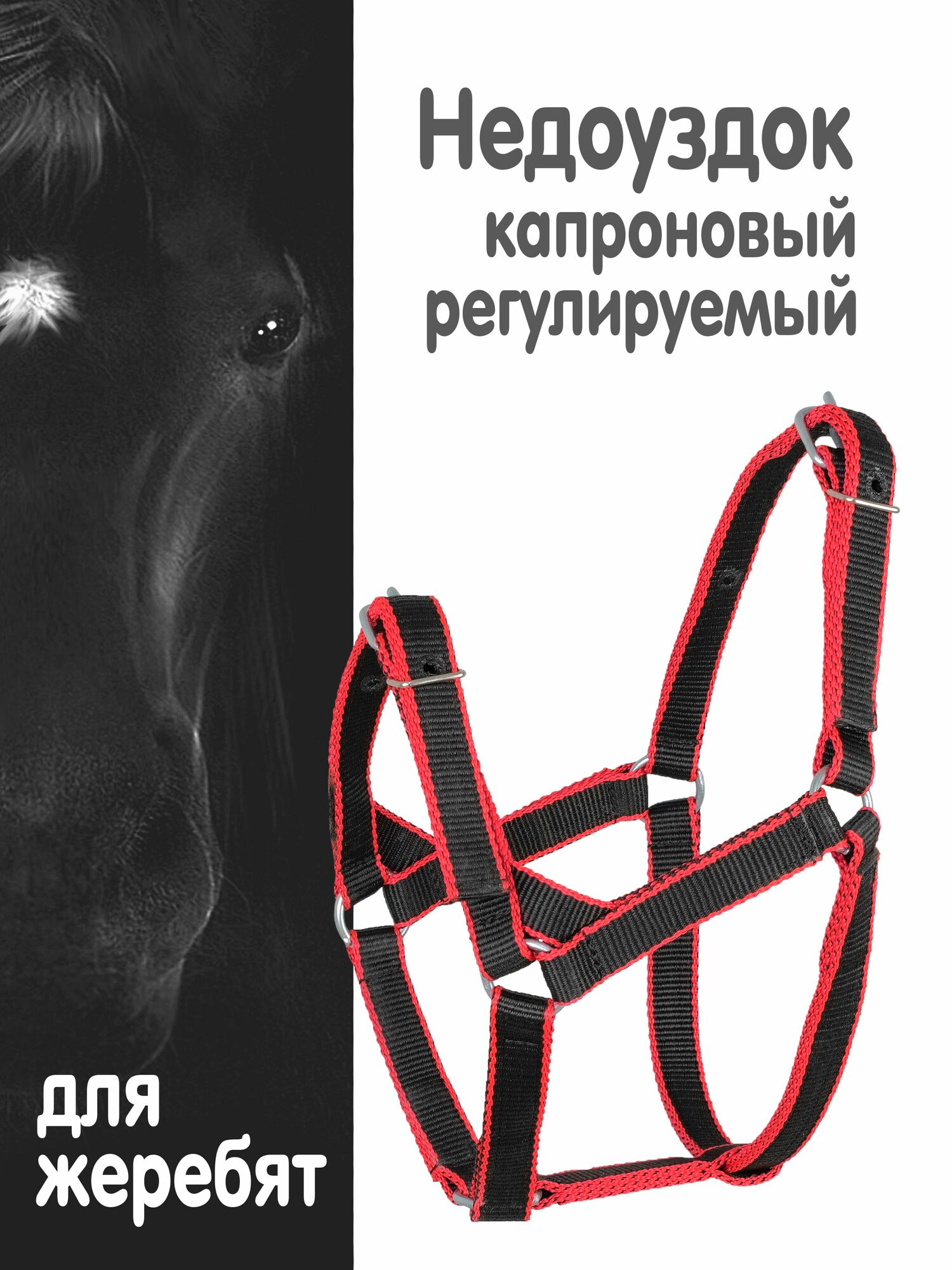 Недоуздок для жеребят двойной капрон регулируемый REITER