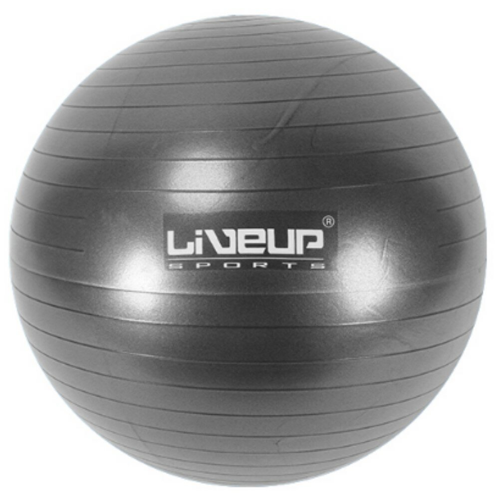 Фитбол Live Up LS3222, гимнастический, серый, с насосом, 75 см