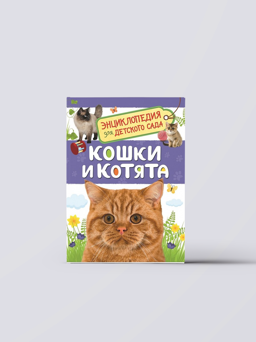 Кошки и котята. Энциклопедия для детского сада | Образование