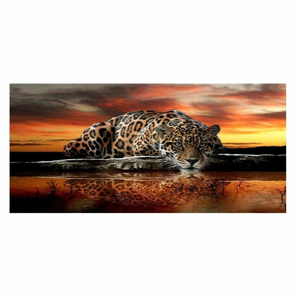 Алмазные Мозаики "леопард" постер знаменитости декоративная роспись40x50cm