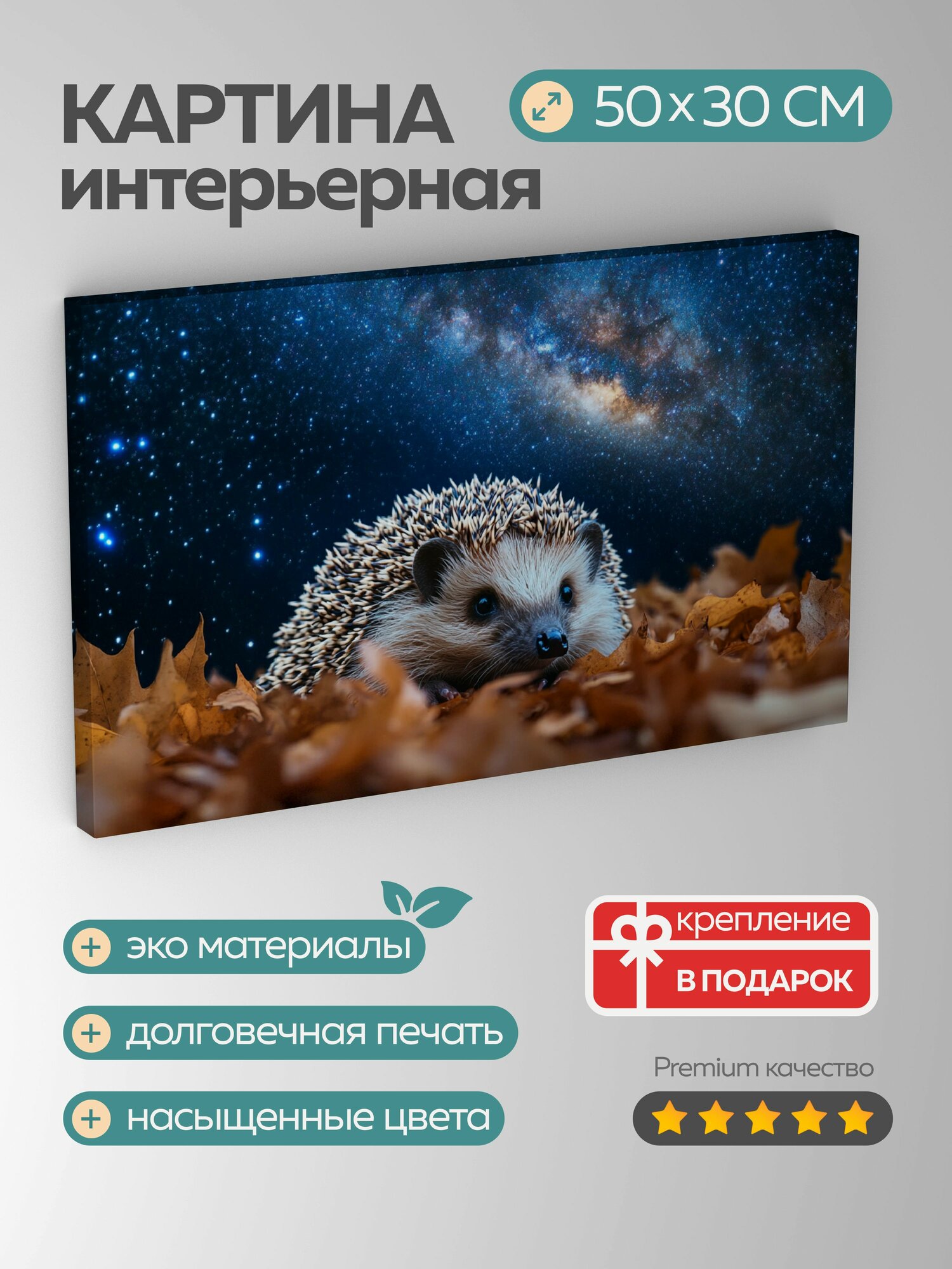 Картина на холсте интерьерная 50х30 см, Еж, опавшие листья, Млечный путь, ночное небо, природа, космос, фотография, уют