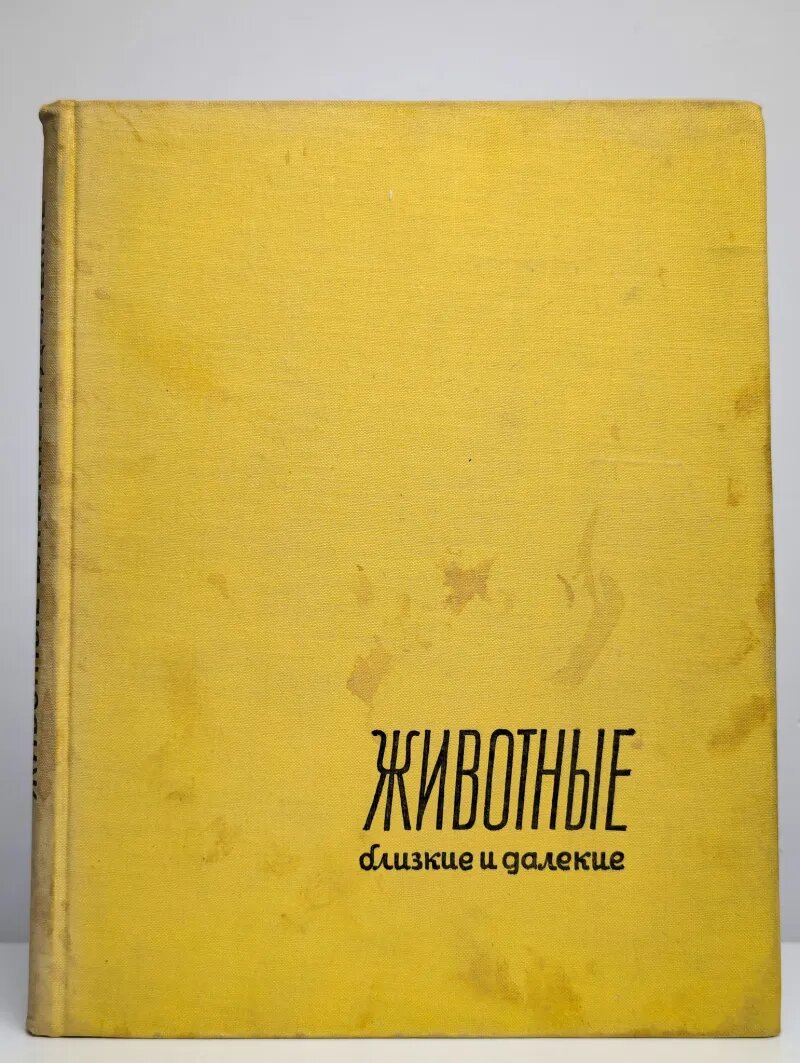 Животные близкие и далекие.