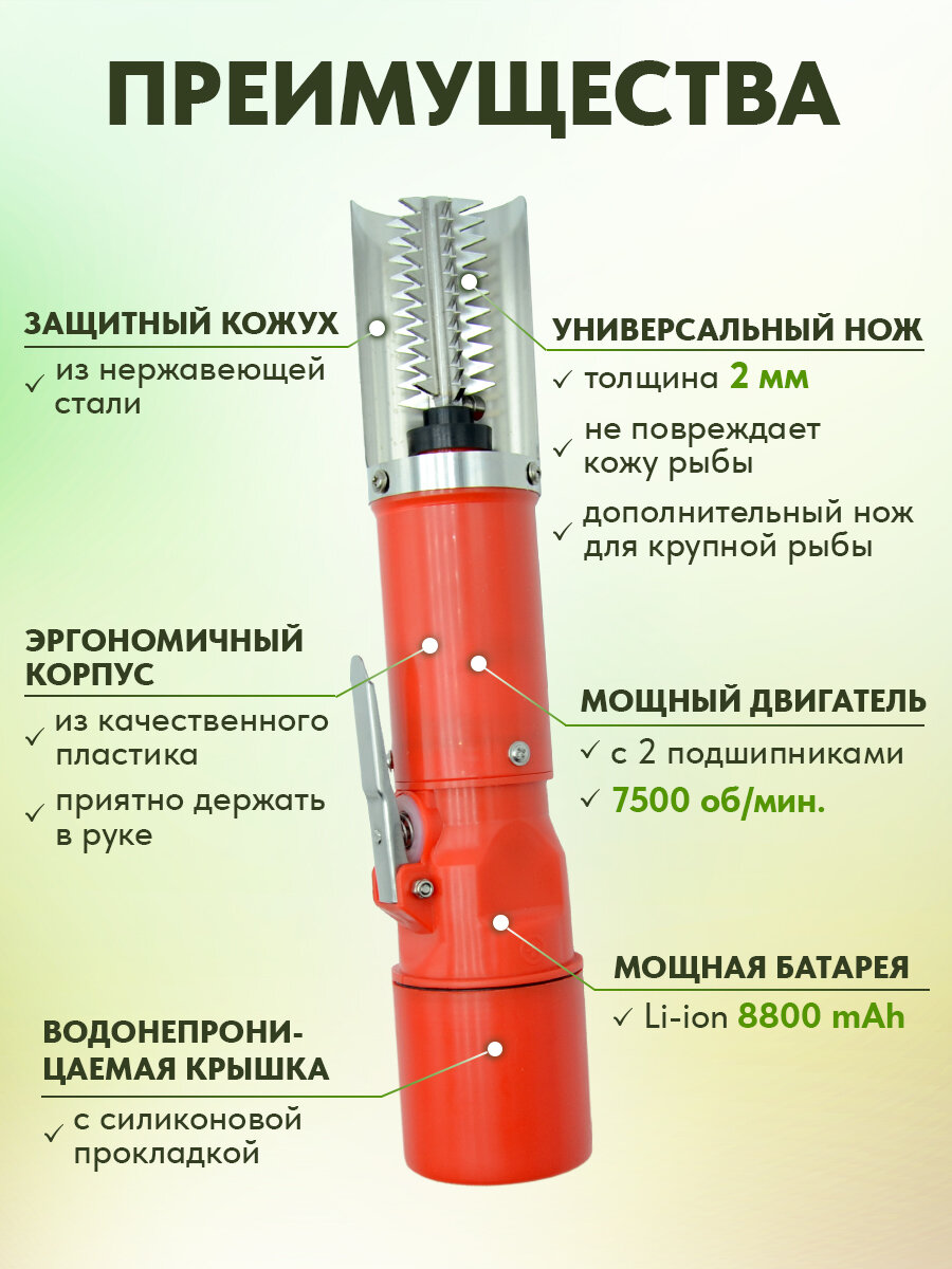 Рыбочистка — фото 1