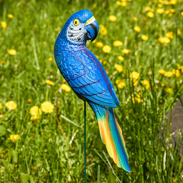 Садовый штекер Попугай Лесли - Радуга Эмоций 74 см, Kaemingk, 808824-4