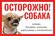 Табличка на забор "Злая собака", предупреждающая, ПВХ 3 мм, УФ печать, размер 17...