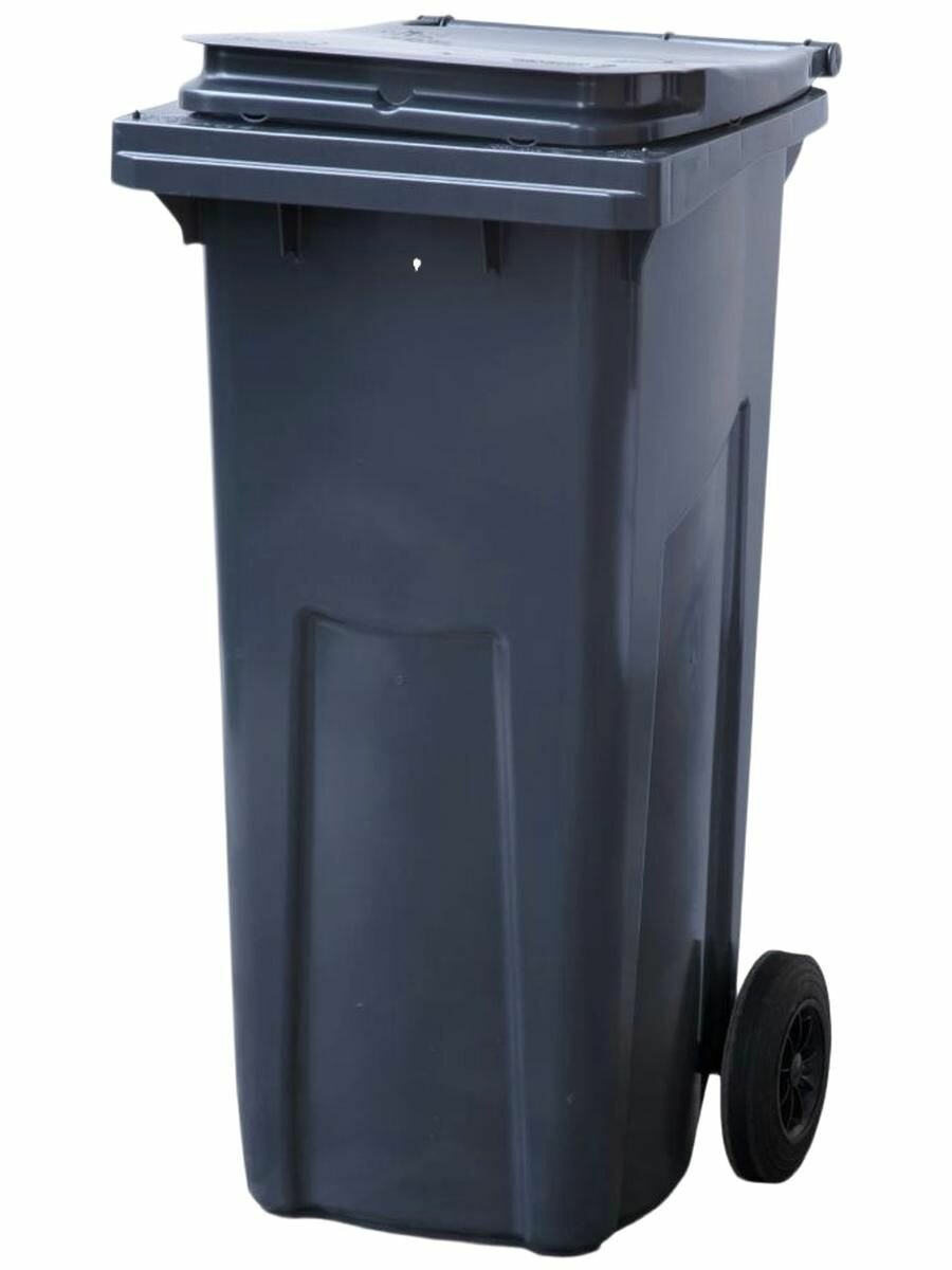 Мусорный контейнер Тара. ру 120л, серый 07310