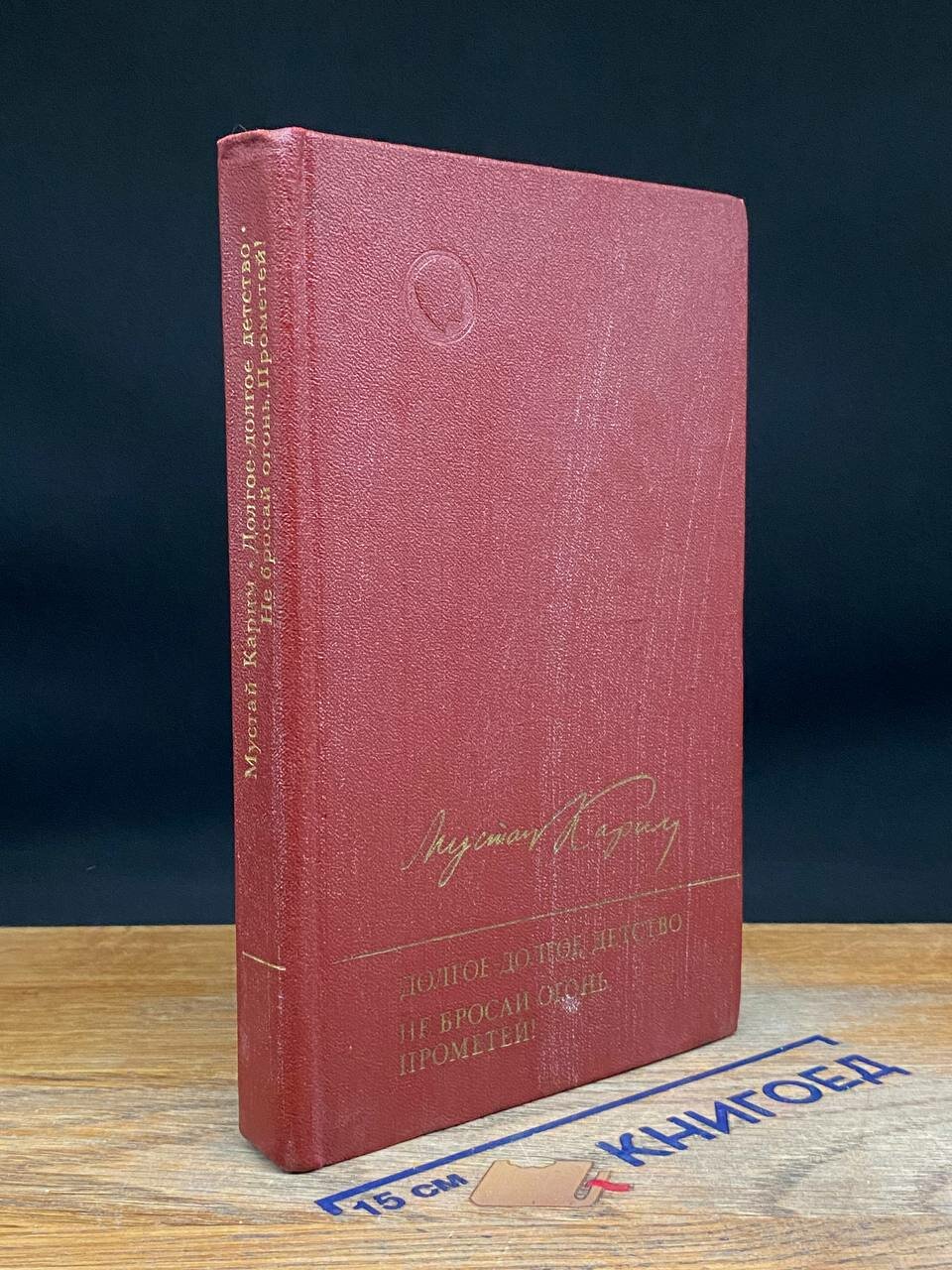 Книга. Долгое-долгое детство. Не бросай огонь, Прометей! 1987 (2043903138591)