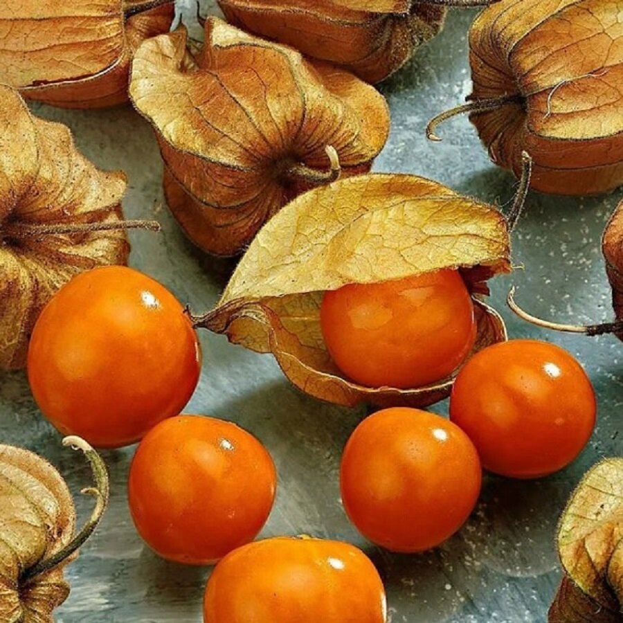 Семена Deodar SEEDS COMPANY Физалис кондитерский 20 шт.