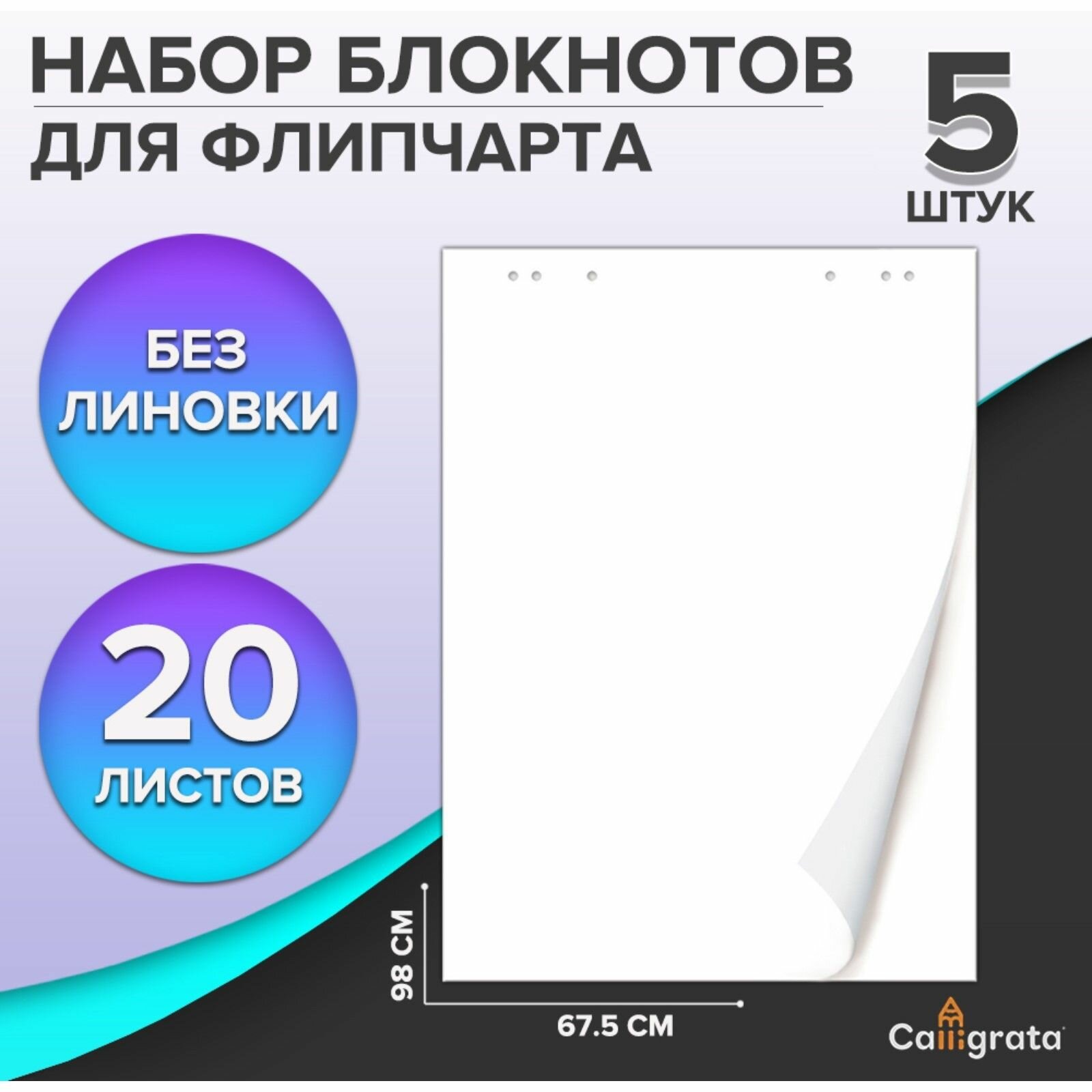 Набор блокнотов 5 штук для флипчарта, 67,5 х 98 см, 20 листов белый, 92%, 80 г/м2