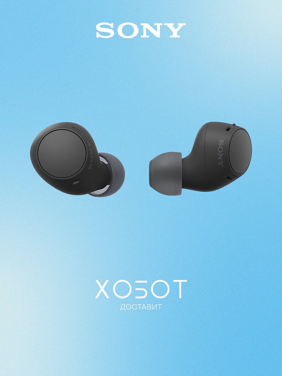 Наушники Sony WF-C510 Black