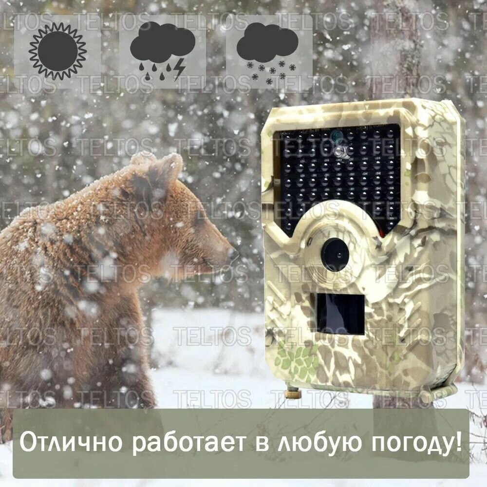 Фотоловушка "Филин NEXT" для охоты, охраны дома или дачи