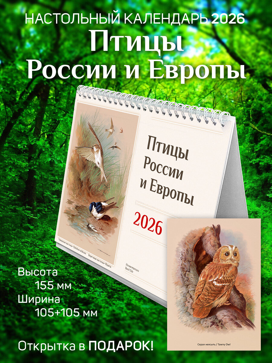 Настольный календарь-домик "Птицы России и Европы", 2026 г, перекидной