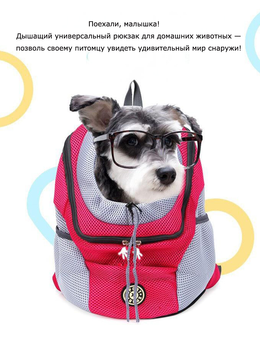 Автобокс для животных