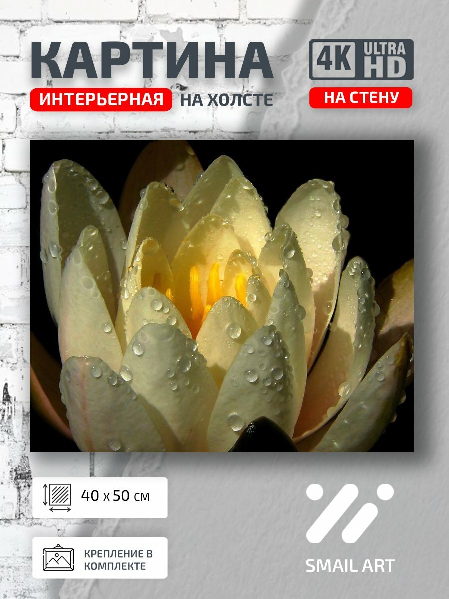 Картина на холсте интерьерная 40 на 50 на стену Капли Macro для офиса макро интерьер декор