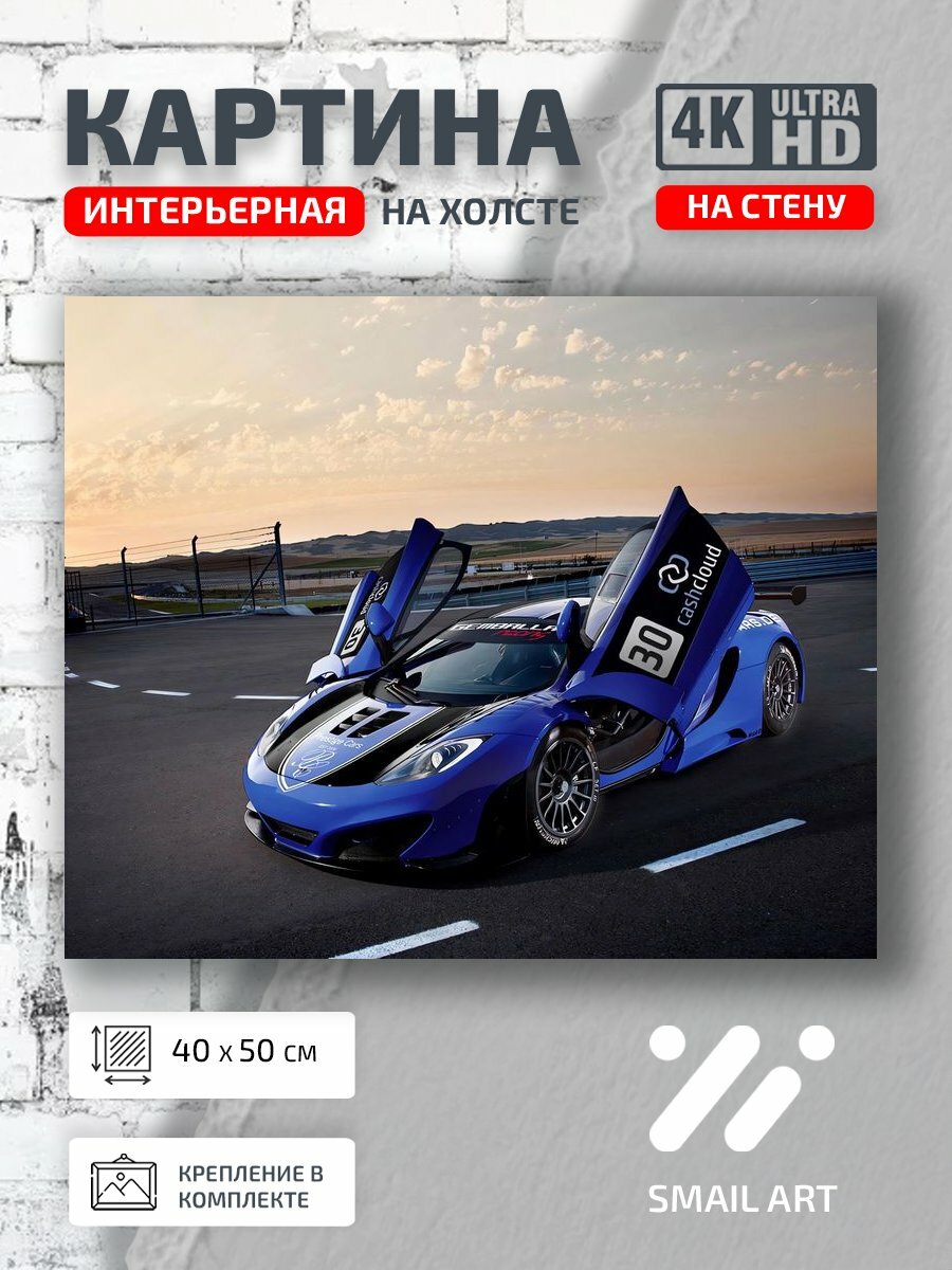 Картина на холсте интерьерная 40 на 50 на стену Гоночный car для кабинета авто дизайн декор