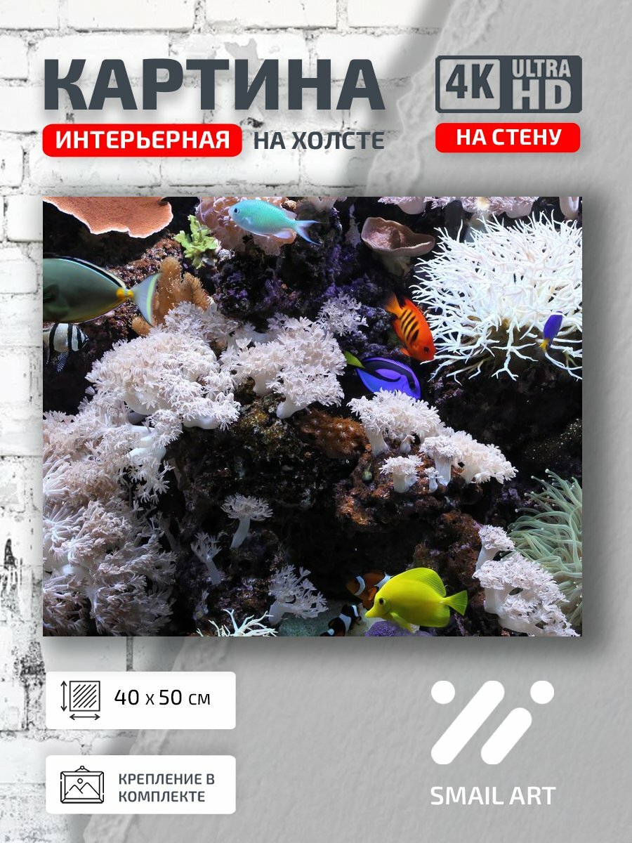 Картина на холсте интерьерная 40 на 50 на стену Рыбы Landscape для офиса пейзаж интерьер