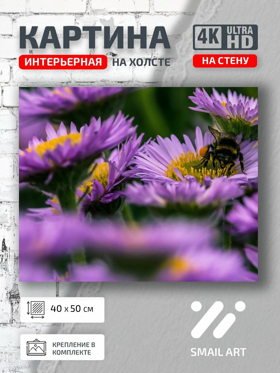 Картина на холсте интерьерная 40 на 50 на стену Опыление Mood для кабинета атмосфера декор