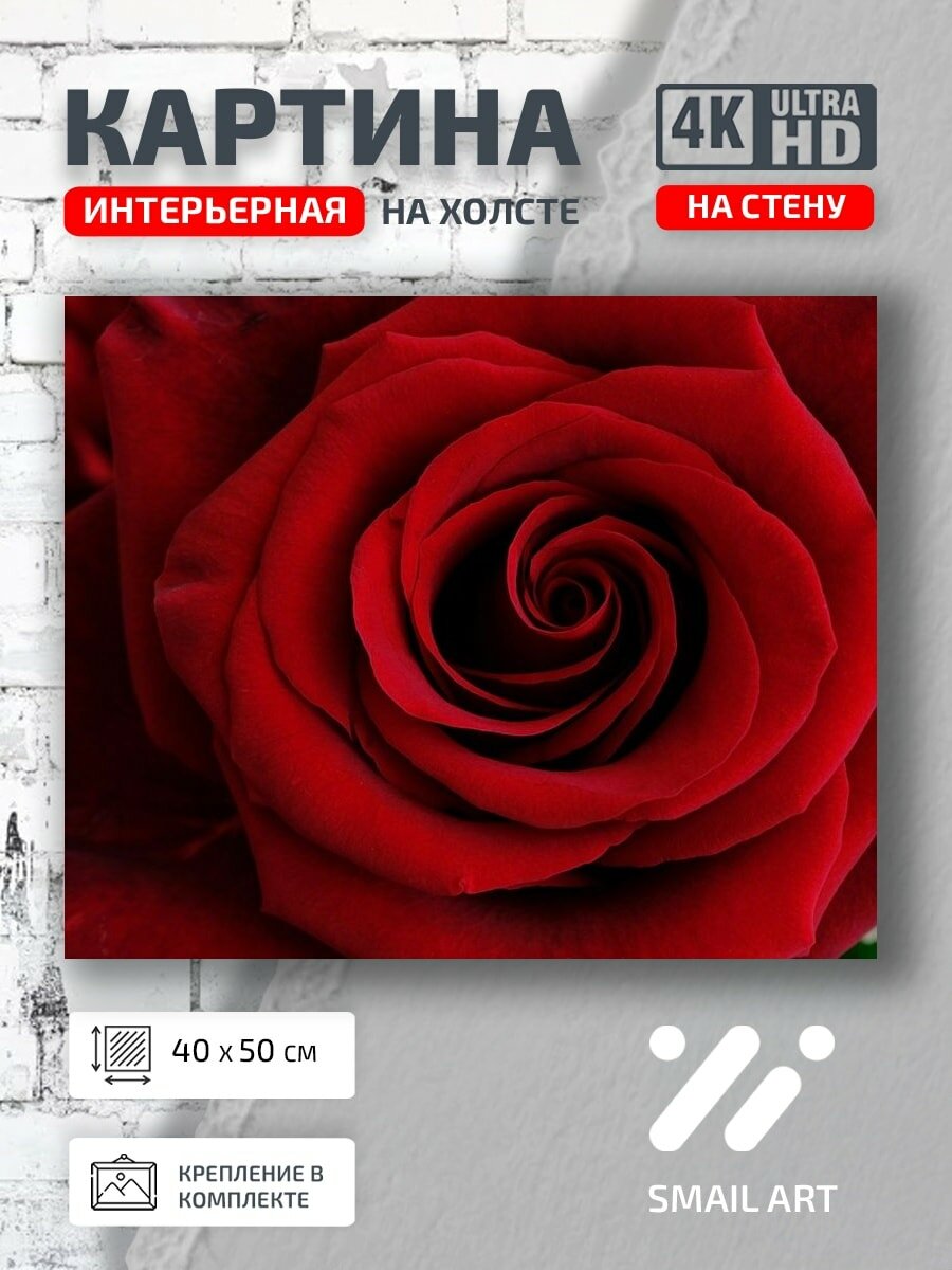 Картина на холсте интерьерная 40 на 50 на стену крупным планом для студии атмосфера