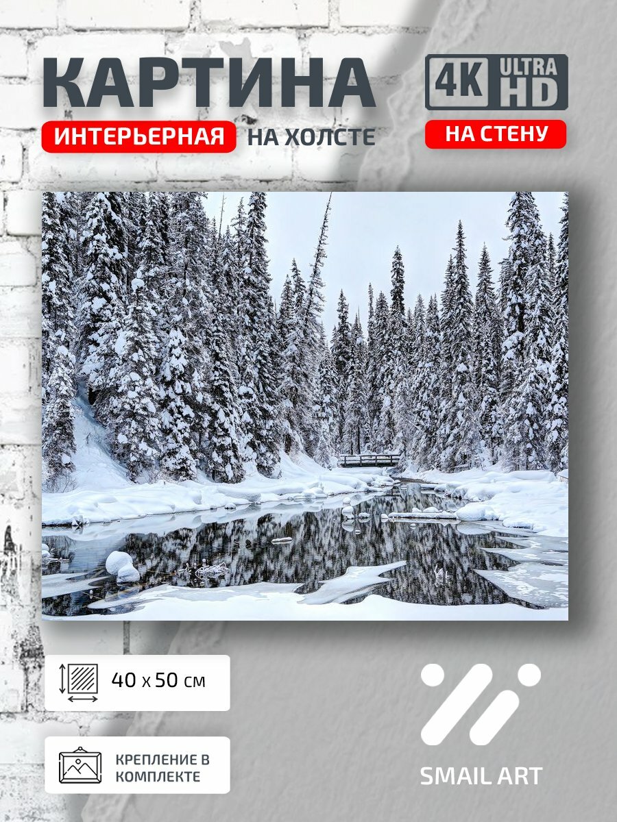 Картина на холсте интерьерная 40 на 50 на стену Лес Landscape для офиса пейзаж интерьер