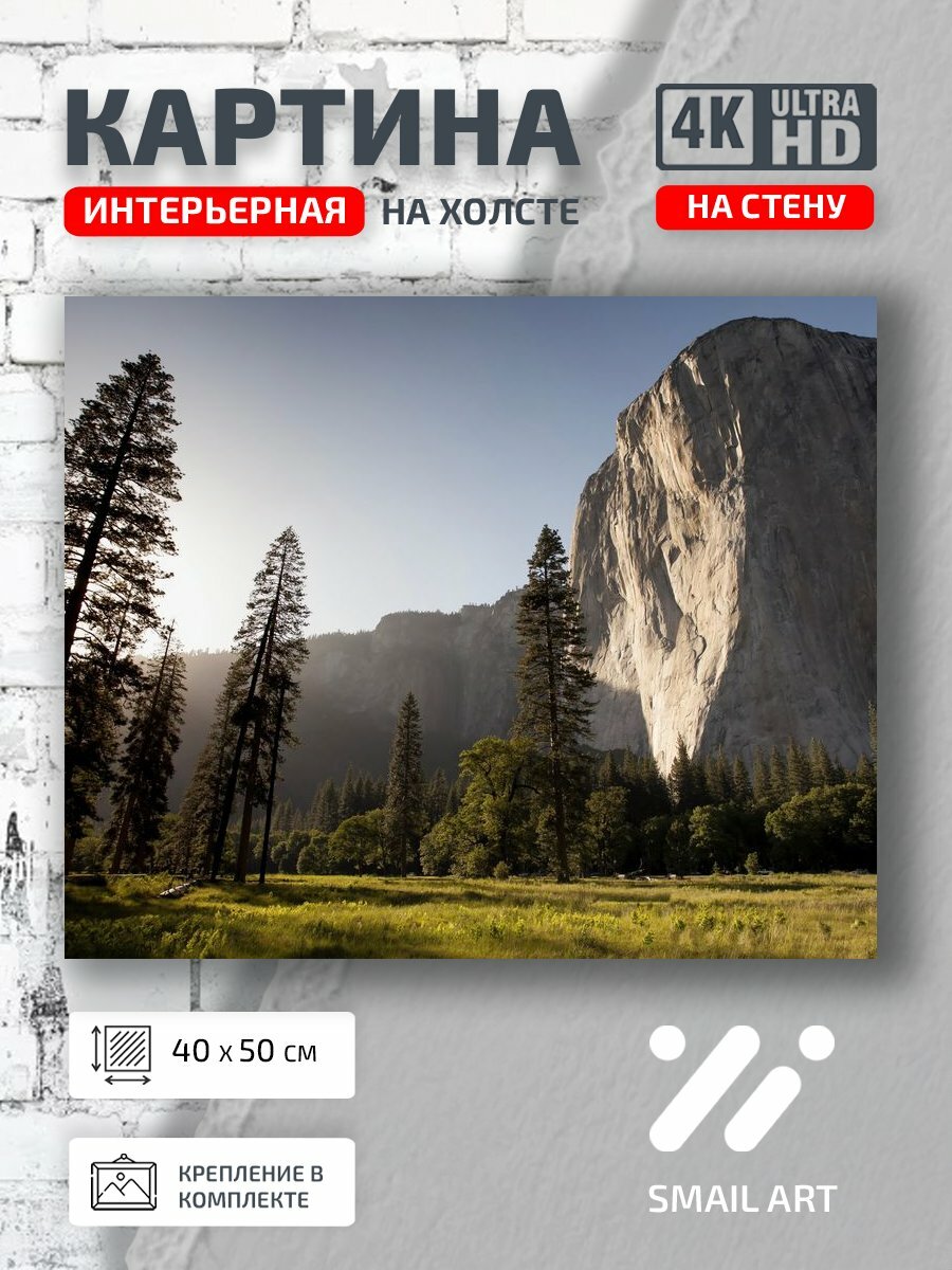 Картина на холсте интерьерная 40 на 50 на стену Скала Landscape для кабинета пейзаж декор