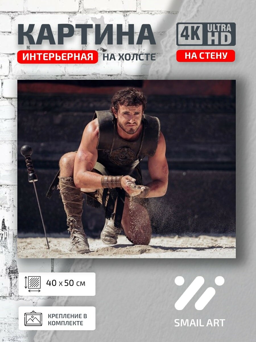 Картина на холсте интерьерная 40 на 50 на стену Гладиатор II для офиса атмосфера