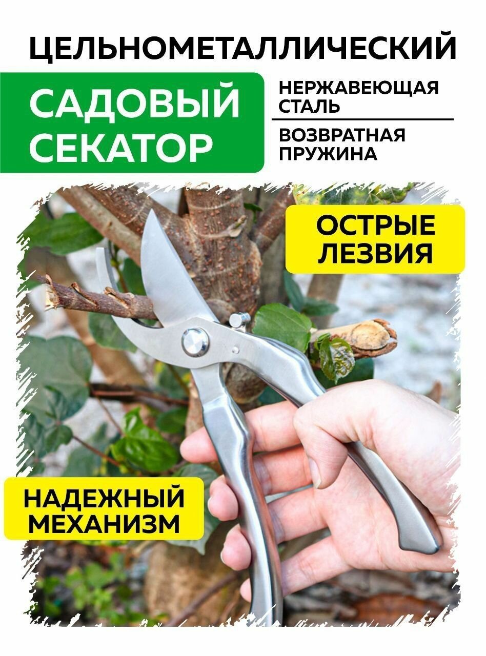 Секатор