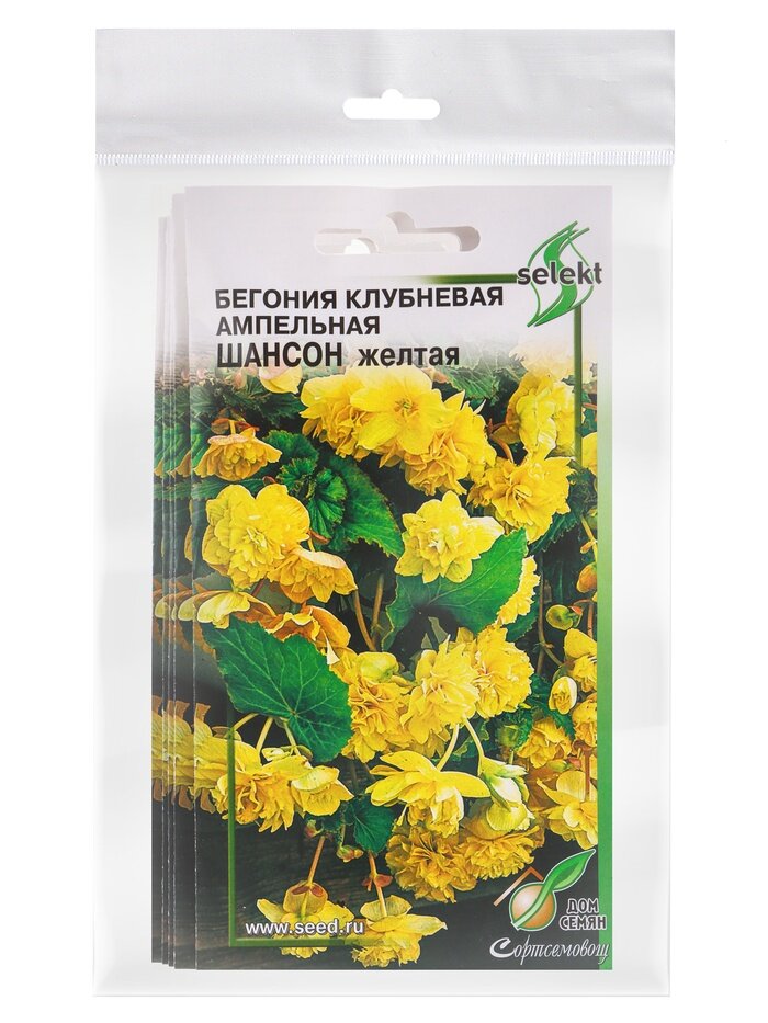Набор семян Бегония ампельная «Шансон» клубневая, жёлтая, 5 шт, «Мой выбор»