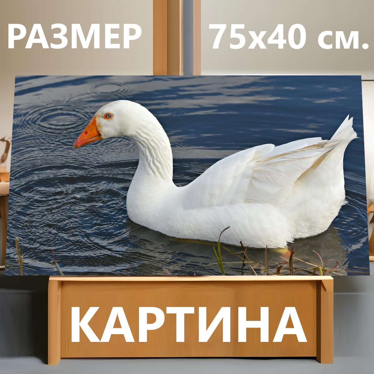 Картина на холсте "Белый гусь, водоплавающая птица, плавание" на подрамнике 75х40 см. для интерьера