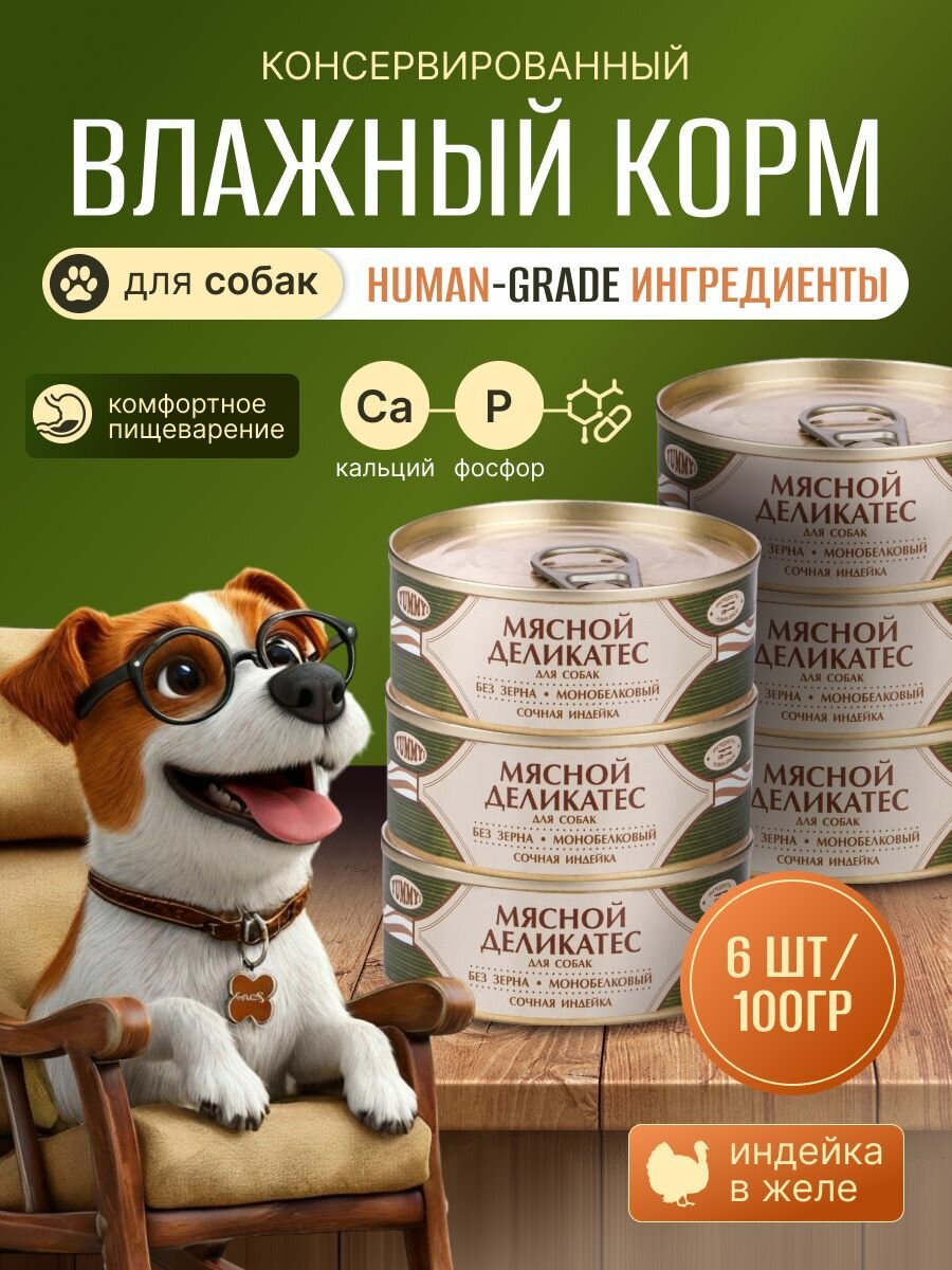 Yummy Мясной Деликатес Влажный корм для собак Индейка натуральная в желе, 100 г. * 6 шт.