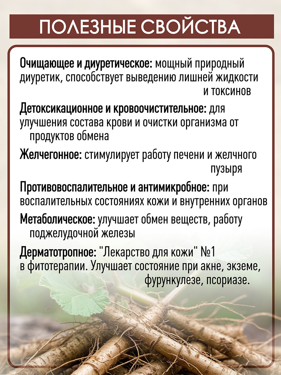 Лопух ( корень ) 100гр. от Данилы Травника подавляет рост и размножение опухолей — фото 1